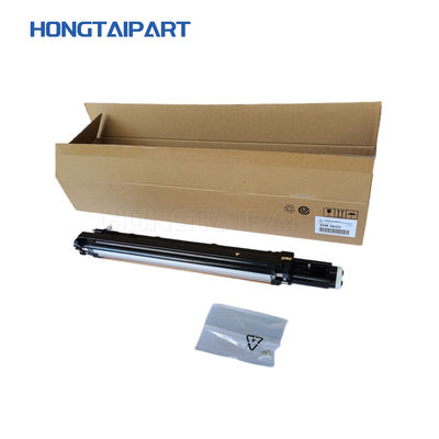 Quality Toner Cartridge & Printer Drum Unit factory from China